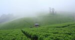 Best Places to Visit in India in December