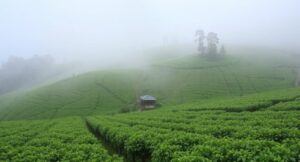 Best Places to Visit in India in December