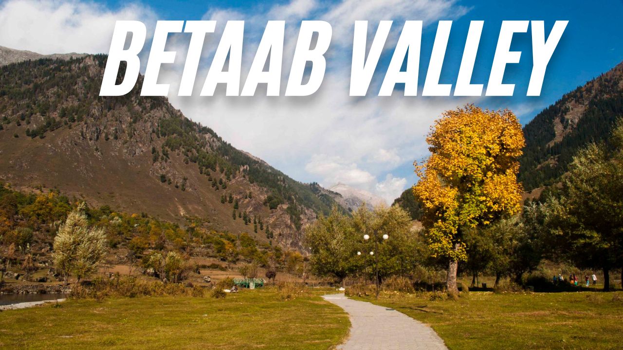 Top 11 Things to Do in Kashmir: A Complete Guide to Paradise on Earth ...